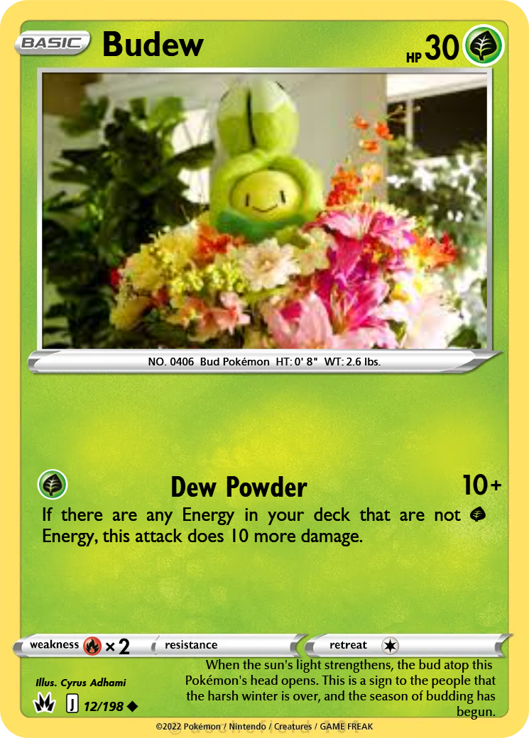 Budew - Simbakid