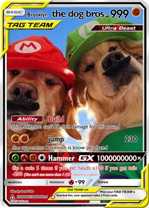 the dog bros - zestychetto | Pokécardmaker.net